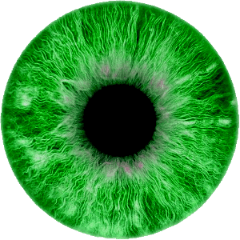 Green 2 - CLIP STUDIO ASSETS