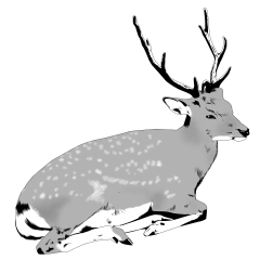 Deer. - CLIP STUDIO ASSETS
