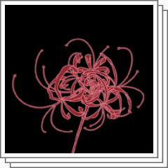Lycoris - CLIP STUDIO ASSETS