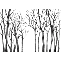 Handwriting cross-hatching only trees and pastes (600dpi/B5 size ...