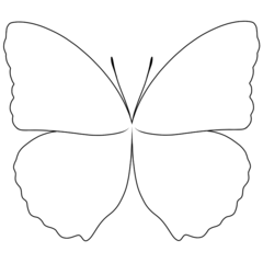 Flat butterfly 2D butterfly - CLIP STUDIO ASSETS