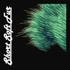 Short Soft Fur - CLIP STUDIO ASSETS