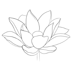 lotus flower - CLIP STUDIO ASSETS