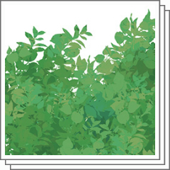 2 Green Bush Brushes - CLIP STUDIO ASSETS