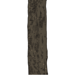 tree - CLIP STUDIO ASSETS