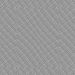 Distortion check - CLIP STUDIO ASSETS