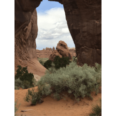 砂漠 23 - CLIP STUDIO ASSETS