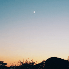 background - CLIP STUDIO ASSETS