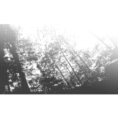 High Quality Screen Tone Trees - CLIP STUDIO ASSETS