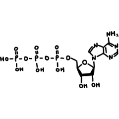 ATP - CLIP STUDIO ASSETS