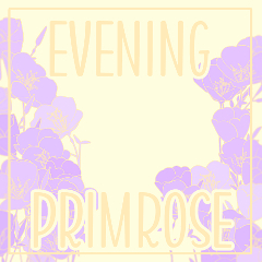 Evening Primerose - CLIP STUDIO ASSETS