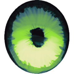 eye - CLIP STUDIO ASSETS