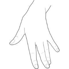 Hand line art - CLIP STUDIO ASSETS