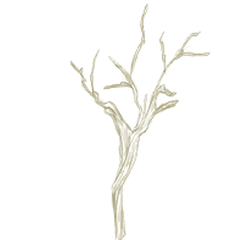 tree brush - CLIP STUDIO ASSETS