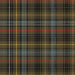 tartan dee and dum - CLIP STUDIO ASSETS