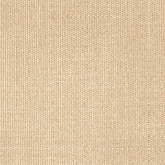 canvas texture - CLIP STUDIO ASSETS