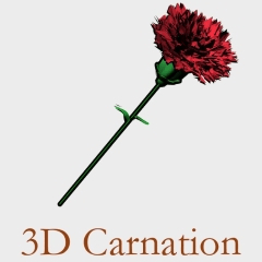 3D Carnation (1 wheel)/Carnation (Single) - CLIP STUDIO ASSETS