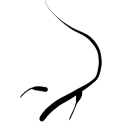 nose 2 - CLIP STUDIO ASSETS