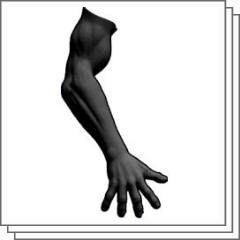 Rough Hands - CLIP STUDIO ASSETS