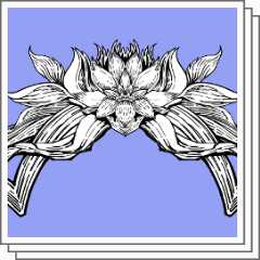 Swamp flower frame - CLIP STUDIO ASSETS