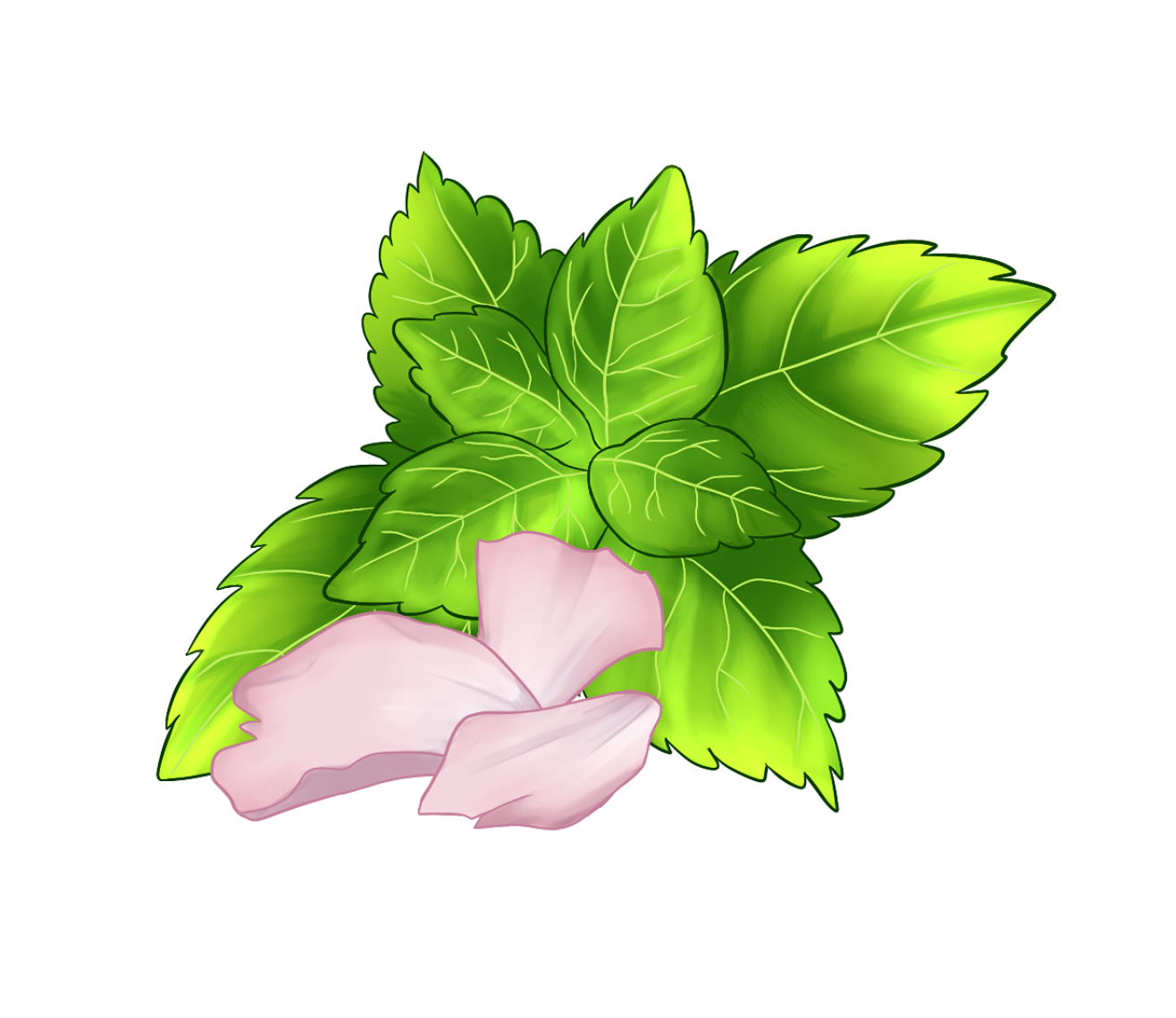 Sakura & Mint - CLIP STUDIO ASSETS