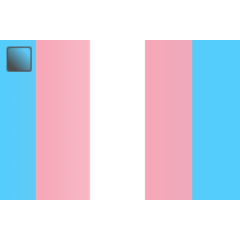 Trans flag - CLIP STUDIO ASSETS