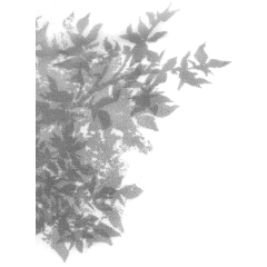 ScreenTone 배경 나무 고품질 - CLIP STUDIO ASSETS