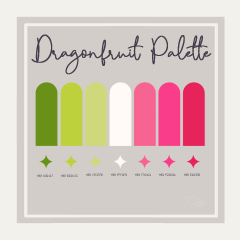 Dragonfruit Palette - CLIP STUDIO ASSETS