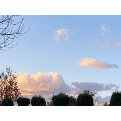 TK - CLIP STUDIO ASSETS