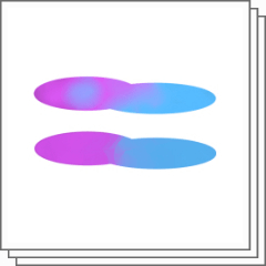 Fill Brush Set - CLIP STUDIO ASSETS