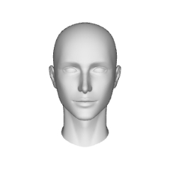 Mercer Head - CLIP STUDIO ASSETS