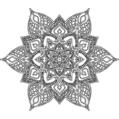 Mandala 101 - CLIP STUDIO ASSETS