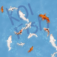 鯉魚Ver2 - CLIP STUDIO ASSETS