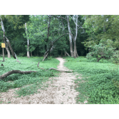 park 19 - CLIP STUDIO ASSETS