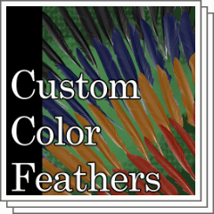 Custom Color Feathers - CLIP STUDIO ASSETS