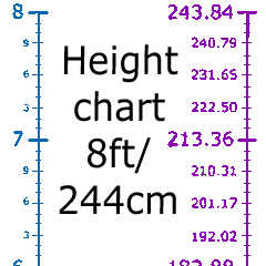 Height Charts ft/inch and cm/mm - CLIP STUDIO ASSETS