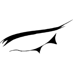 sharp eye - CLIP STUDIO ASSETS