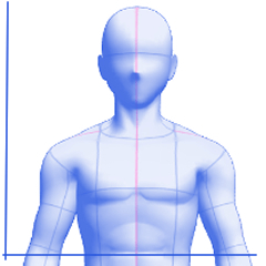[FREE] Custom male bodyshape - CLIP STUDIO ASSETS