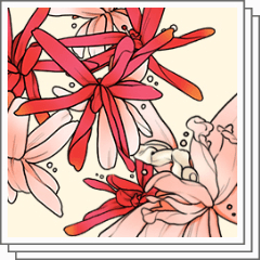 COMBRETUM INDICUM - CLIP STUDIO ASSETS