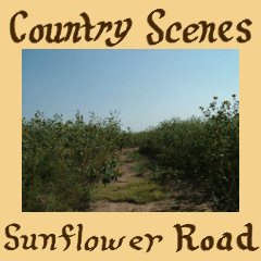Sunflower Road - CLIP STUDIO ASSETS