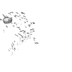 small rocks - CLIP STUDIO ASSETS