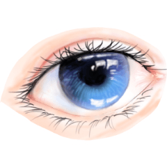 eye - CLIP STUDIO ASSETS